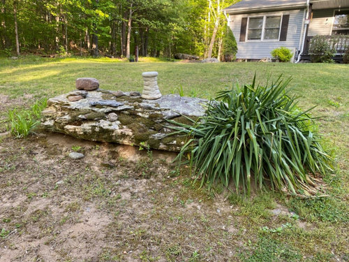 Any suggestions for a North West facing garden?