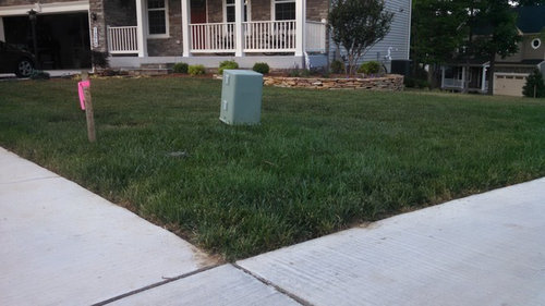 HIde Green Utility Boxes