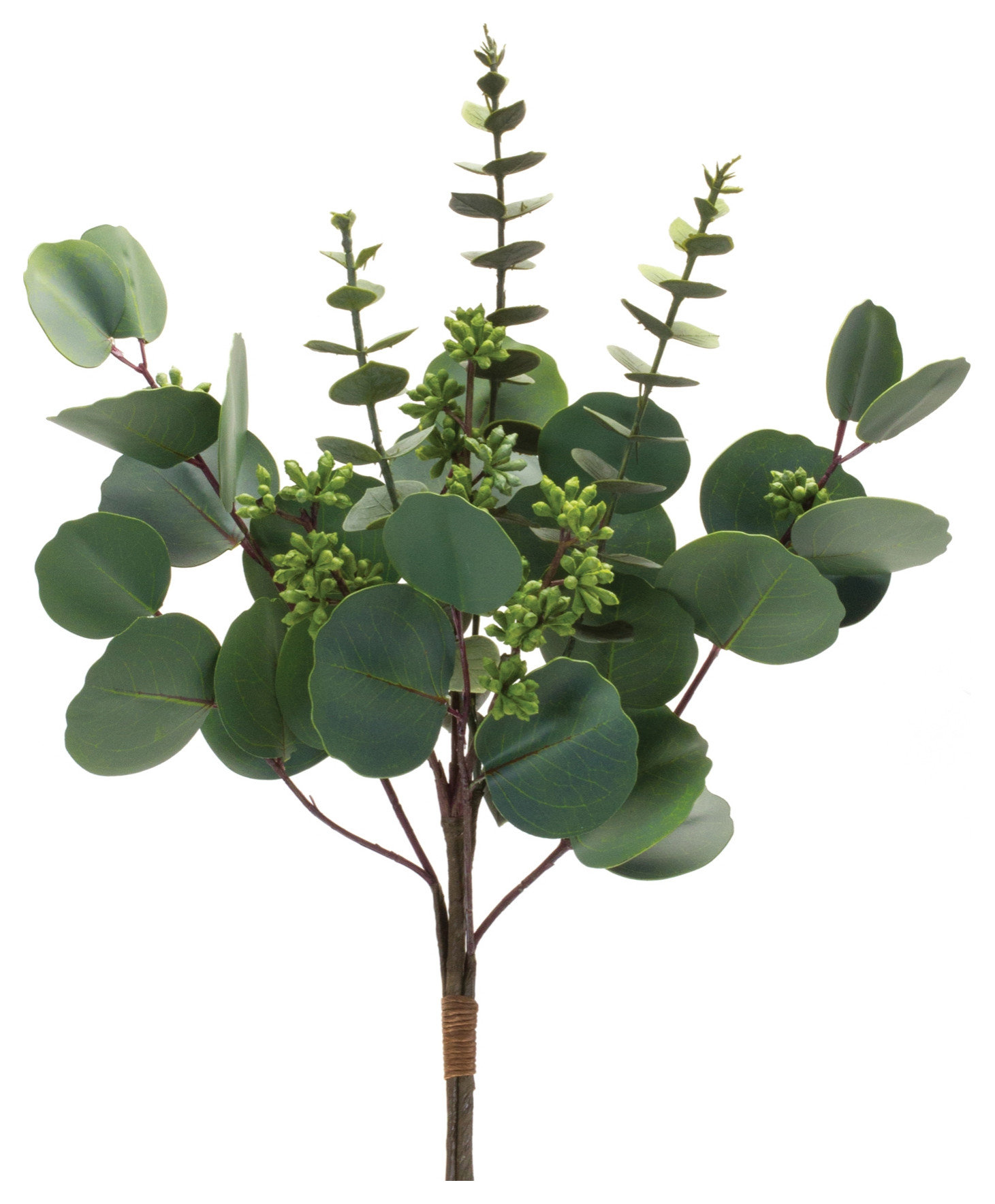 Mixed Eucalyptus Bundle, Set of 6 - Traditional - Artificial Plants And ...