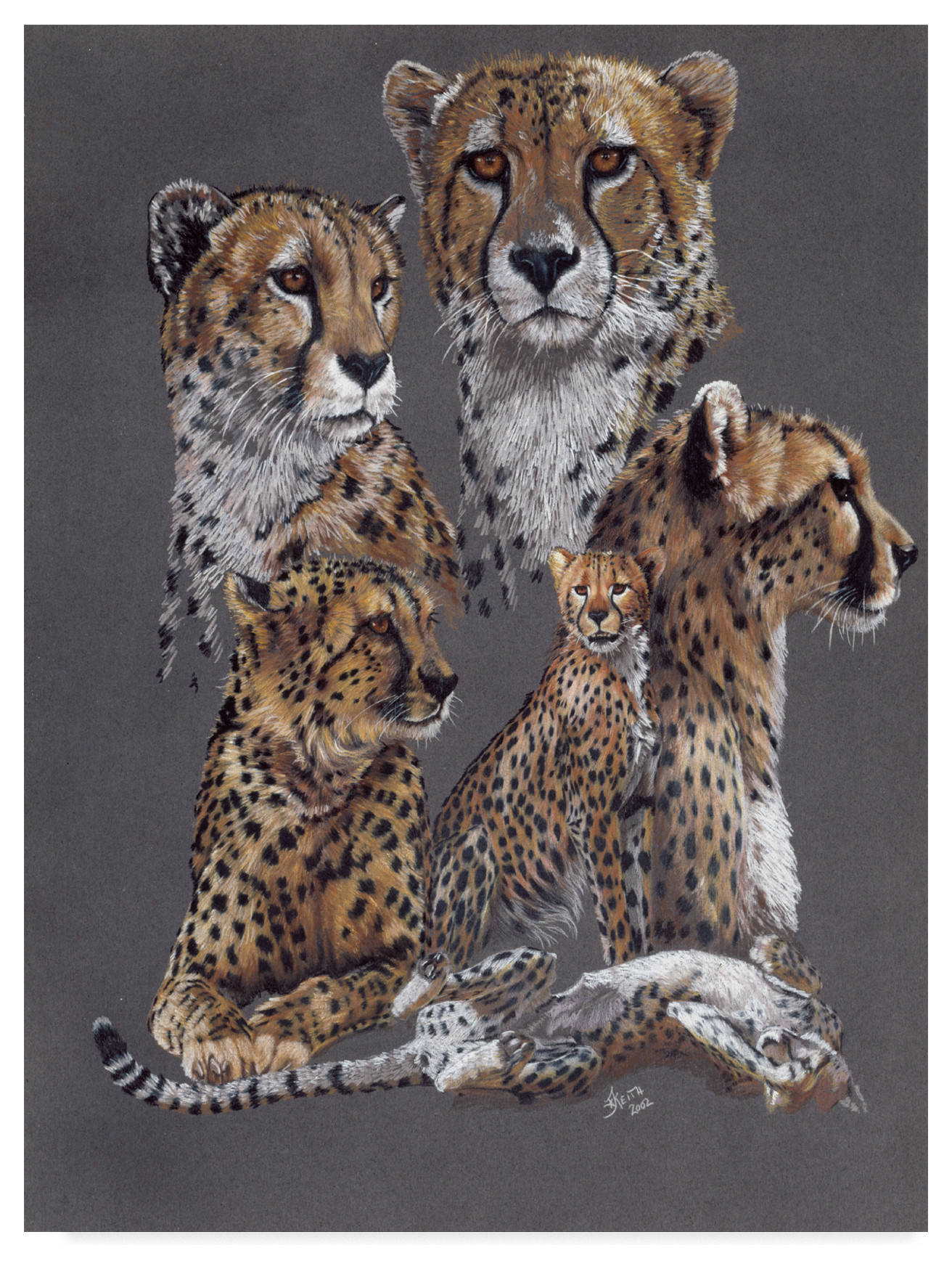 "Swiftly" by Barbara Keith, Canvas Art, 19"x14" - Contemporary - Prints ...