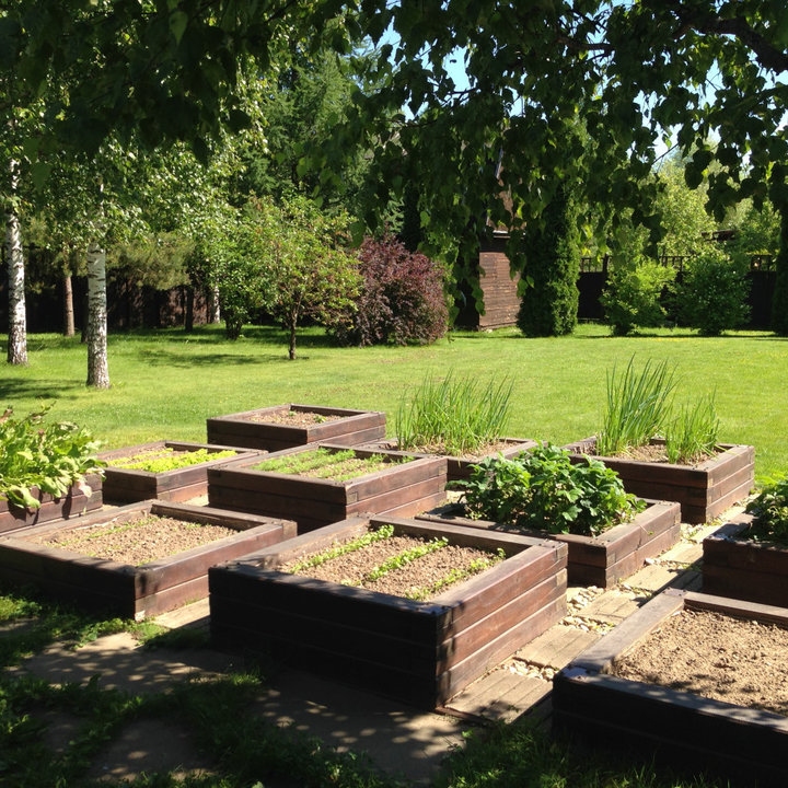 75 Beautiful Medium Sized Garden Ideas and Designs - July 2025 | Houzz UK