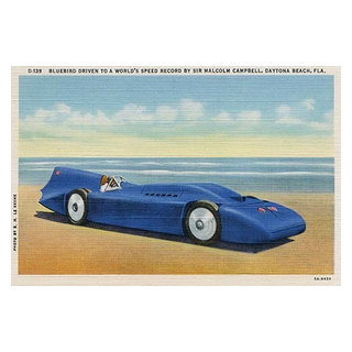 The Bluebird 5, 12" x 18" - Traditional - Prints And Posters - by ...