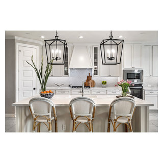 Mariana Kitchen Remodel - Transitional - Kitchen - Houston - by Romo ...