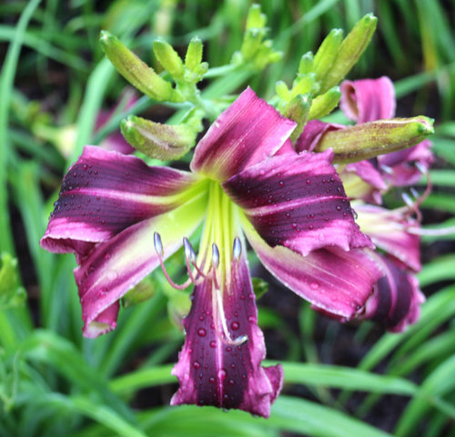 Some of Ron Reimer's and a Few Others from Today