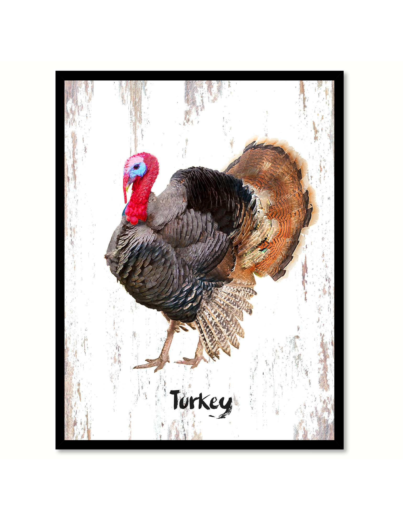 Turkey Bird Canvas Print, 7"x9", 22"x29" - Farmhouse - Prints And ...