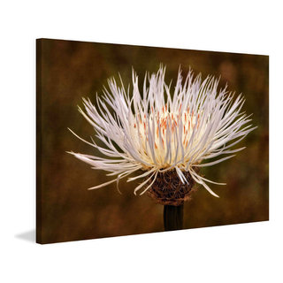 "Pleasant Disarray" Painting Print on Canvas by Robertson, 18"x12 ...