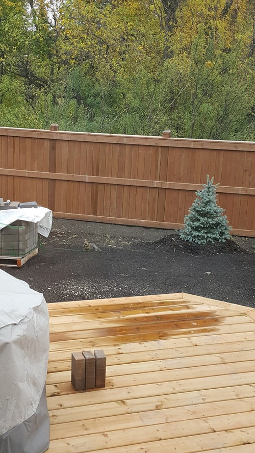 Help: Evergreen Screen