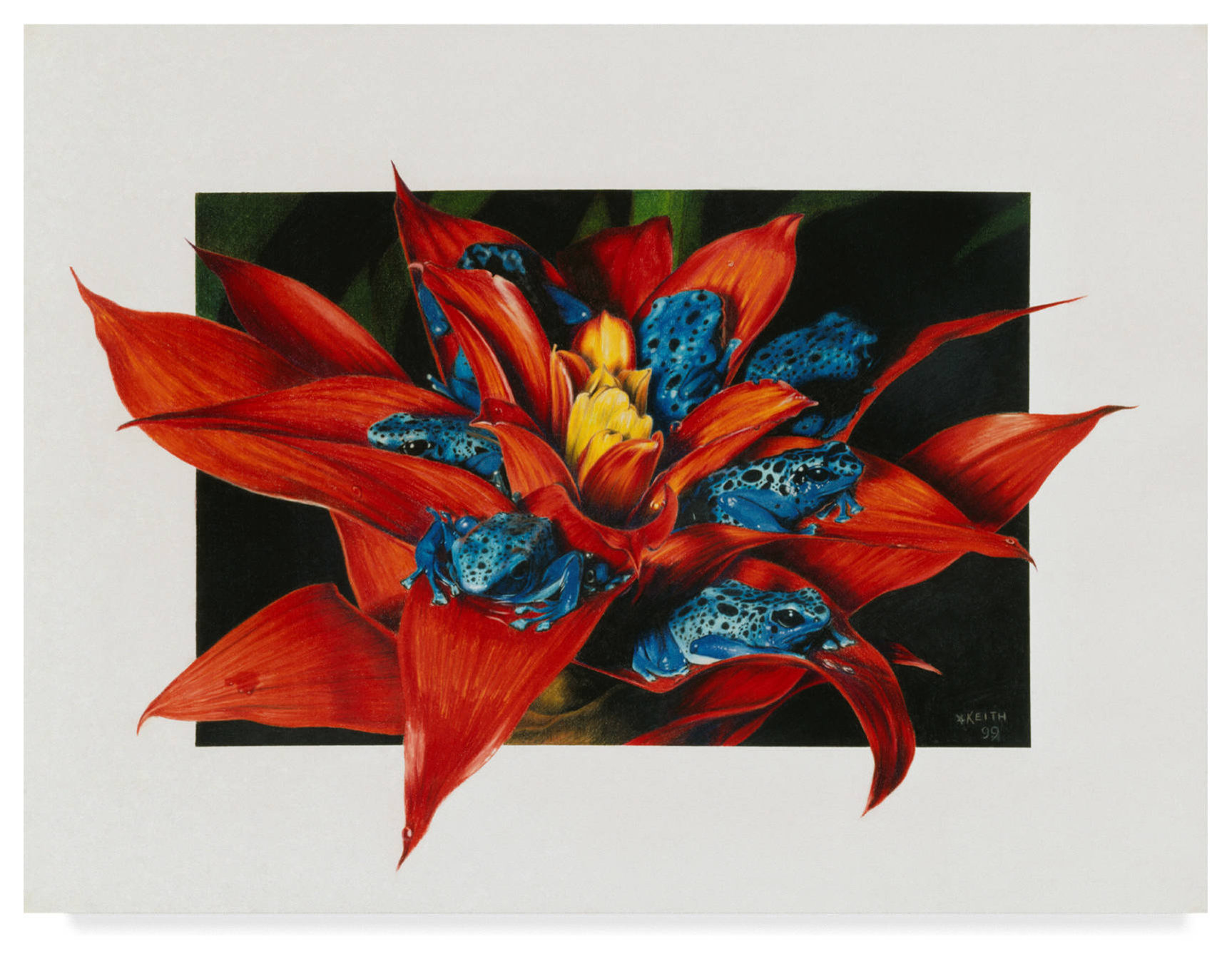 "Sevens" by Barbara Keith, Canvas Art, 24"x18" - Tropical - Prints And ...