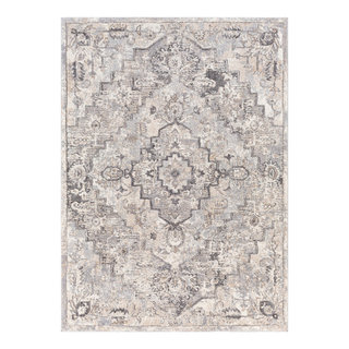 Surya Tuscany TUS-2321 Machine Woven Area Rug, 8'10" x 12'2 ...