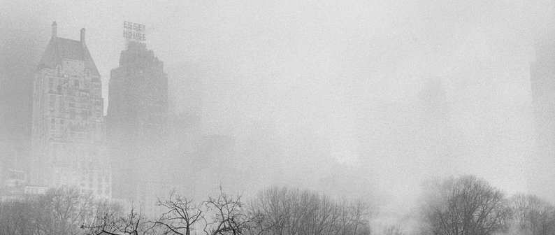 DAVE BECKERMAN PHOTOGRAPHY - Project Photos & Reviews - New York, NY US ...