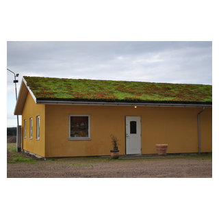 Sedum för mark och tak - Göteborg - par Turfman AB | Houzz