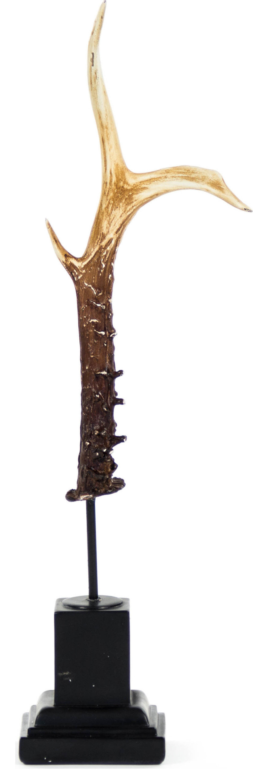 Antler with Base - Rustic - Decorative Objects And Figurines - by ...