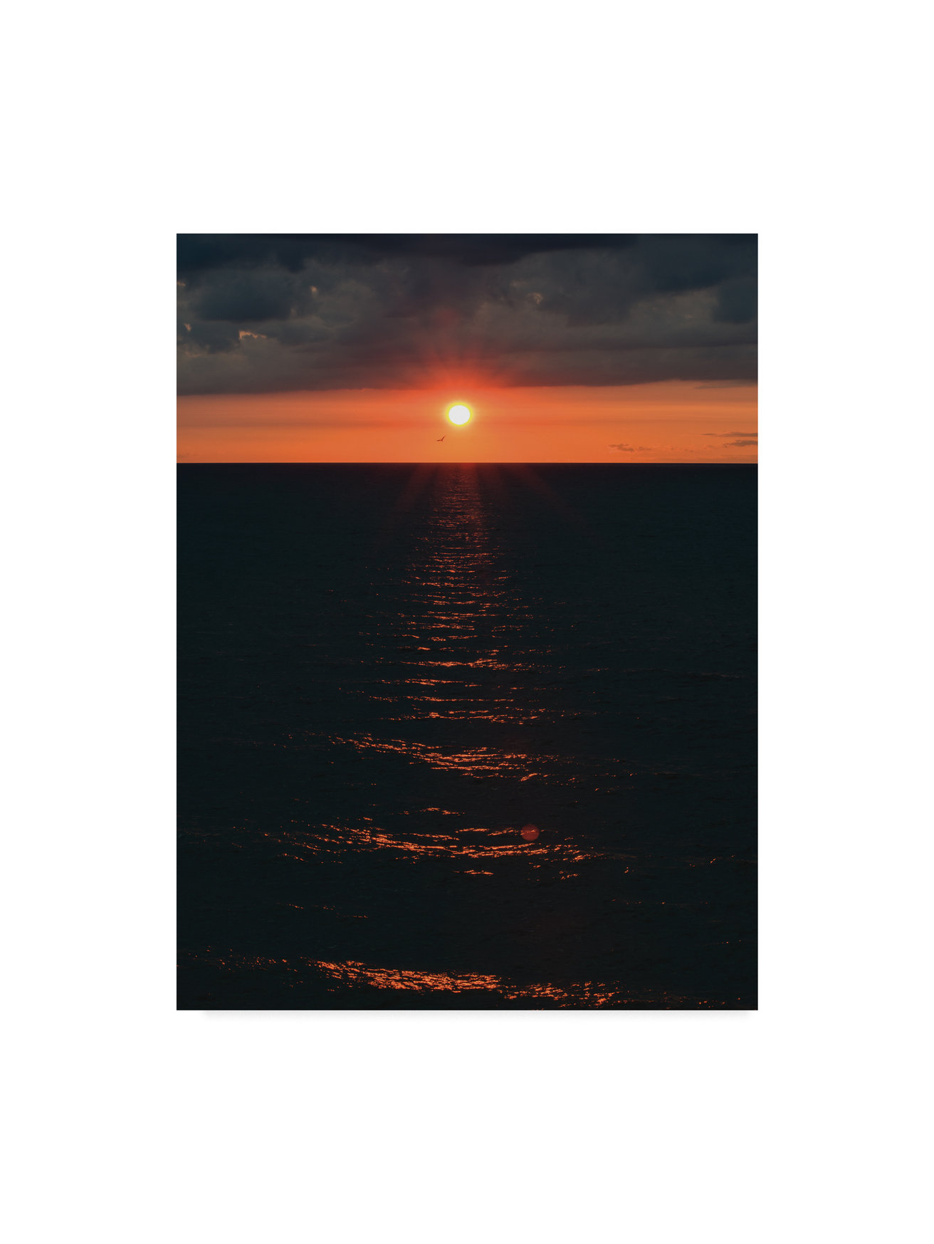Kurt Shaffer 'Idyllic Sunset' Canvas Art, 35"x47" - Beach Style ...