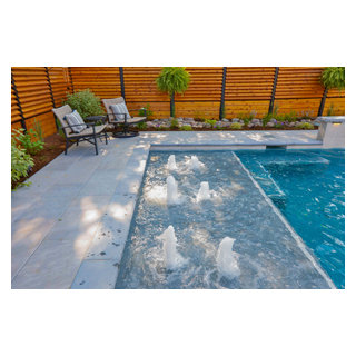 Lemont, IL Rectilinear Pool with Interior Hot Tub - Traditional - Pool ...