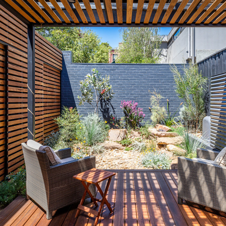 75 Beautiful Australian Native Garden Ideas & Designs - May 2025 | Houzz AU