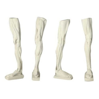 Anatomical Leg, Drawing Casts Anatomies - Contemporary - Garden Statues ...