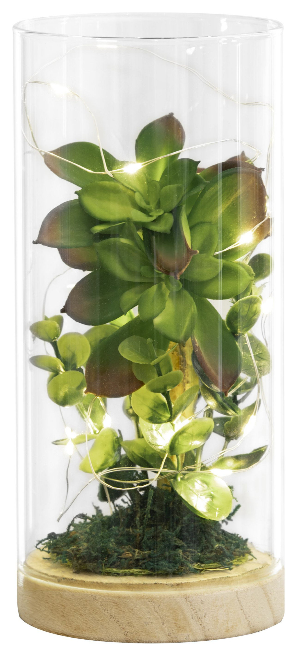Elk Home 634222 Luna Lighting Terrarium - Contemporary - Terrariums ...