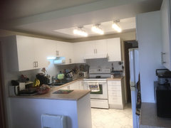 Formica Laminate Kitchen Cabinets Ideas....HELP!!!!!!!!!!!