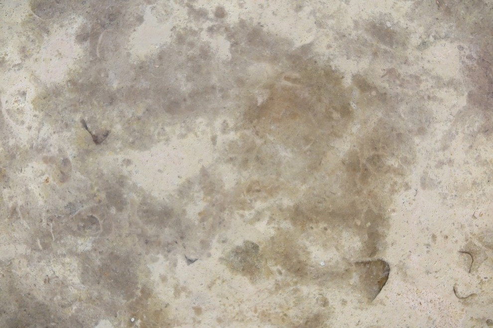 Dore Royale Marble Tiles, Polished Finish, 12"x12", Set of 160 ...