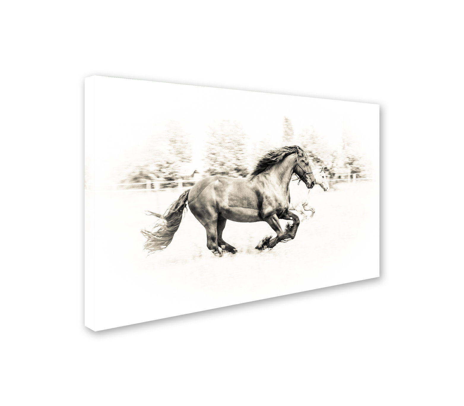 Sebastian Graf 'The Two Friends' Canvas Art, 19"x 12" - Contemporary ...