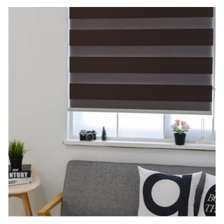 Combi/Zebra Shades - Contemporary - Living Room - Toronto - by Trendy ...