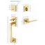 Emtek Baden Keyed Entry Modern Handleset, Helios Levers, Satin Brass ...