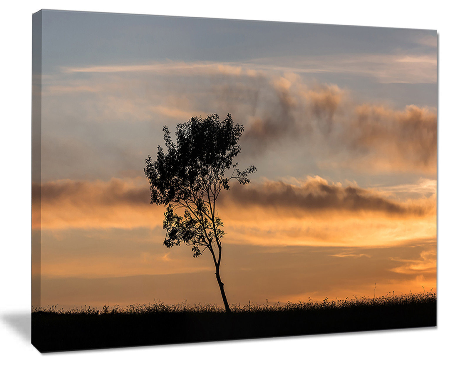 "Lonely Tree Silhouette Leftwards" Canvas Print, 40"x30" - Contemporary ...