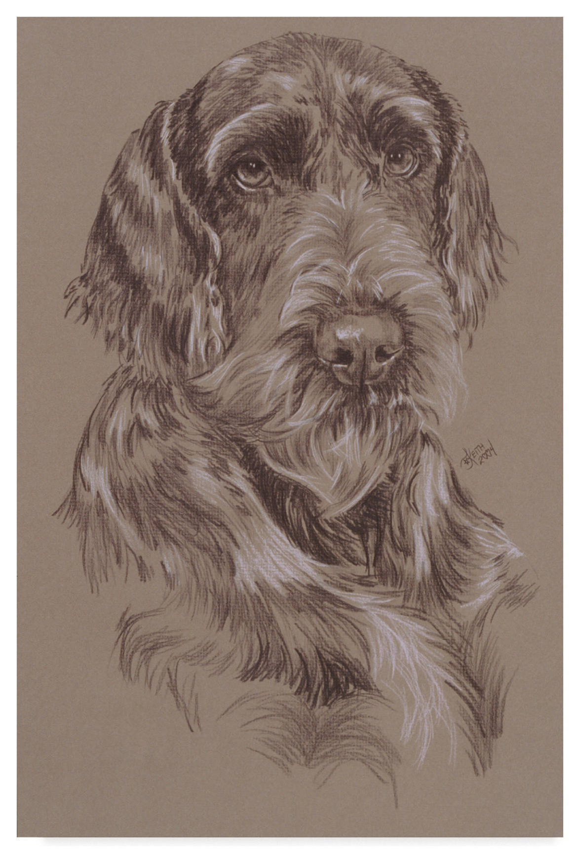 "German Wirehaired Pointer" by Barbara Keith, Canvas Art, 12"x19 ...