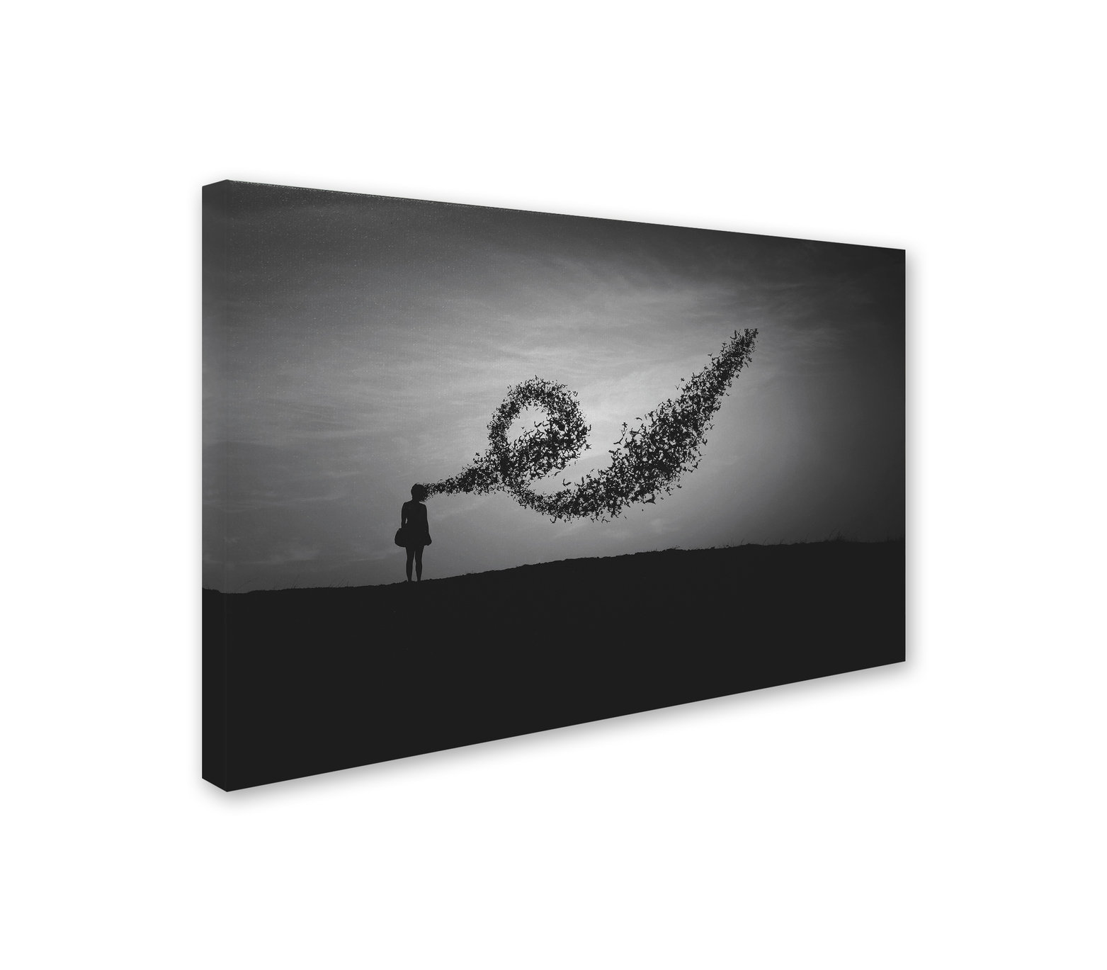 Radin Badrnia 'Mind' Canvas Art, 16"x24" - Contemporary - Prints And ...