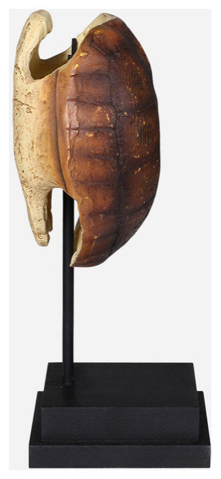 Faux Gopher Tortoise Shell on Stand - Contemporary - Decorative Objects ...