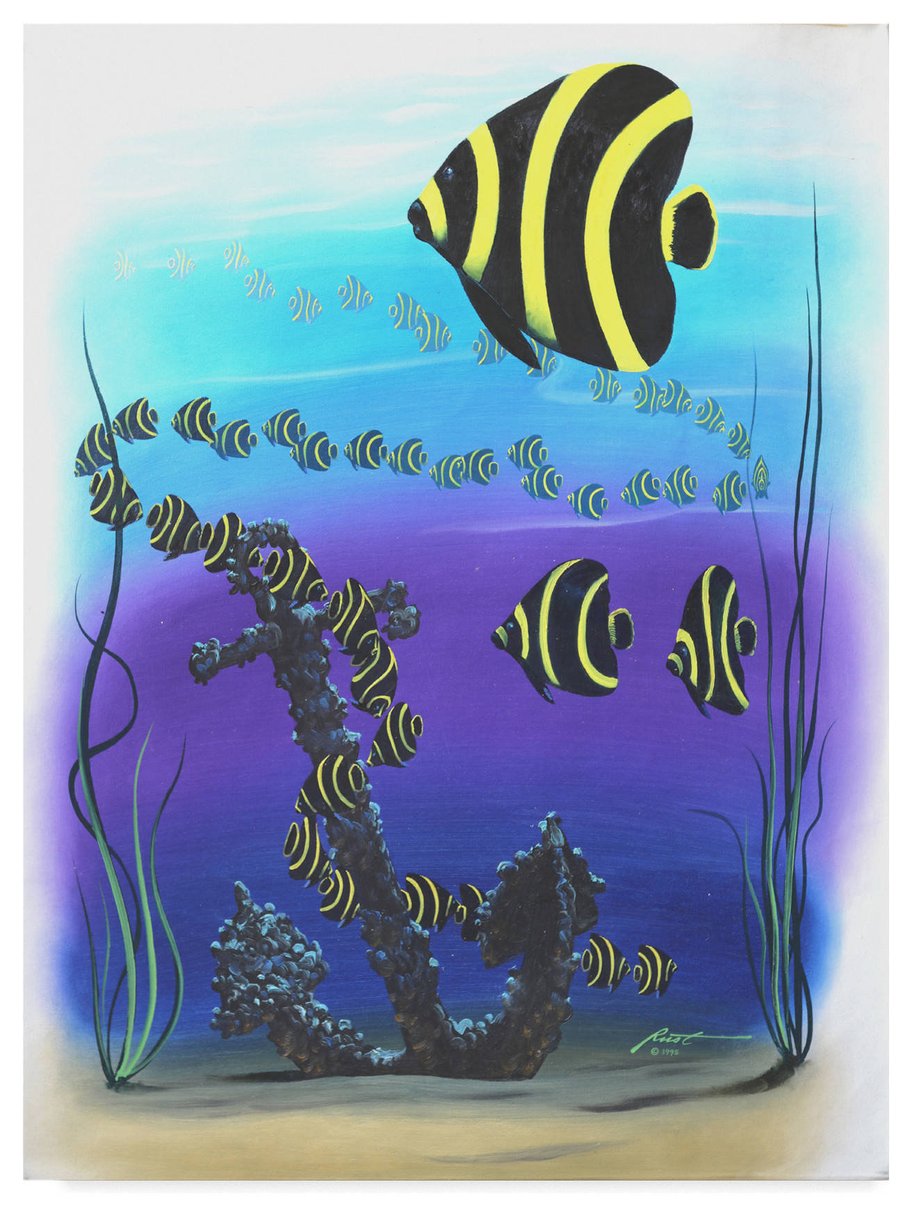 "Angelfish" by D. Rusty Rust, Canvas Art, 24"x18" - Beach Style ...