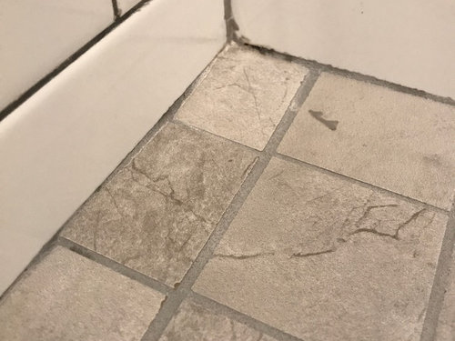 Bad tile job...help! Grout dark in certain areas/chipped tile cuts