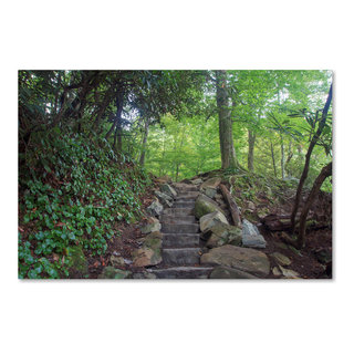 Bob Rouse 'steps' Canvas Art - Rustic - Prints And Posters - by ...