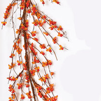 Bittersweet Garland, 60" - Contemporary - Wreaths And Garlands - by ...