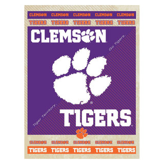 Holland Clemson 24"x32" Canvas 04 Wall Art - Contemporary - Prints And ...