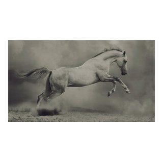 "Parical" Digital Paper Print by Hamze Dashtrazmi, 24x14", 42"x24.4 ...