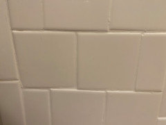 Grout color match for Daltile Bright White? | Houzz Forum