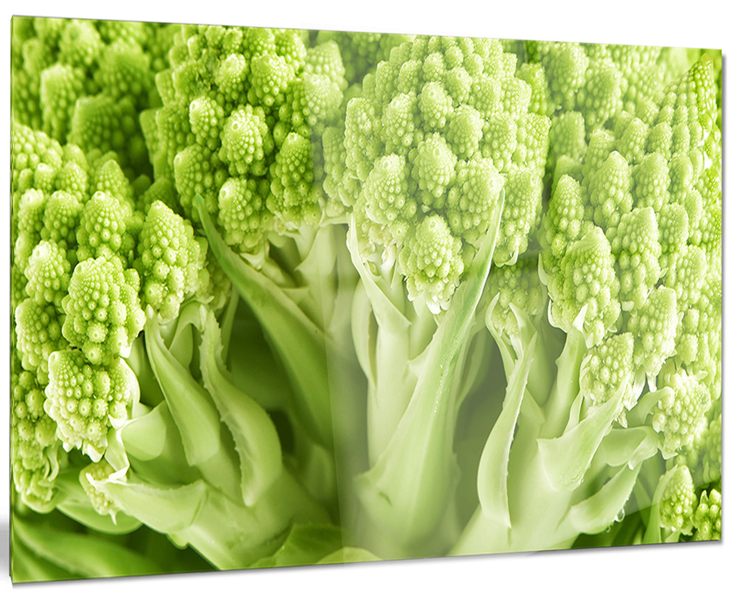 "Fresh Green Romanesco Florets" Photo Metal Wall Art, 40"x30 ...