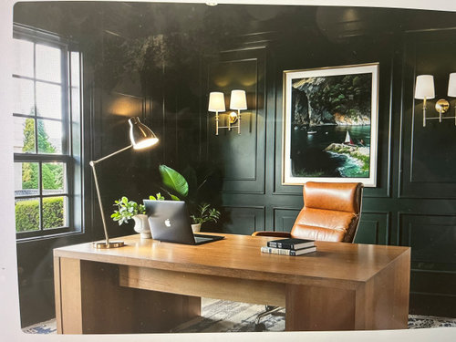 Finding the right very deep dark green for office | Houzz Forum
