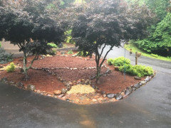Planning a bed featuring conifers.