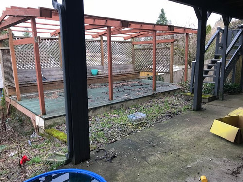 Extreme Backyard Design Challenge of the Century