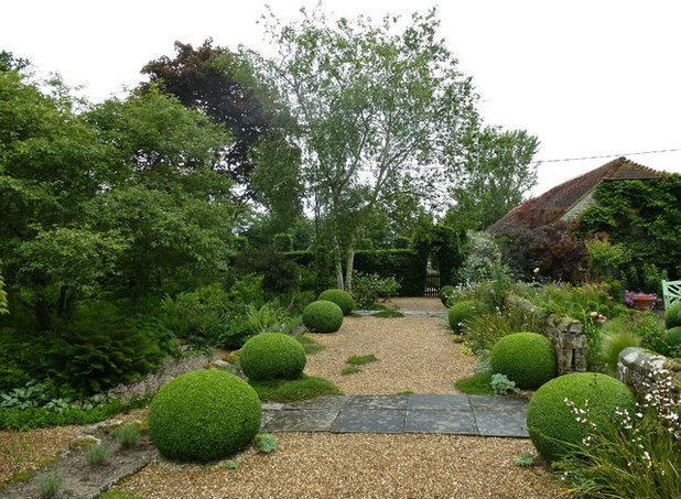 Don't Hedge Me In: Check Out These Alternatives to Box Hedges | Houzz NZ