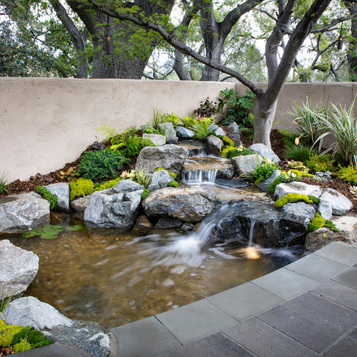 75 Beautiful Asian Garden Ideas & Designs - October 2025 | Houzz AU