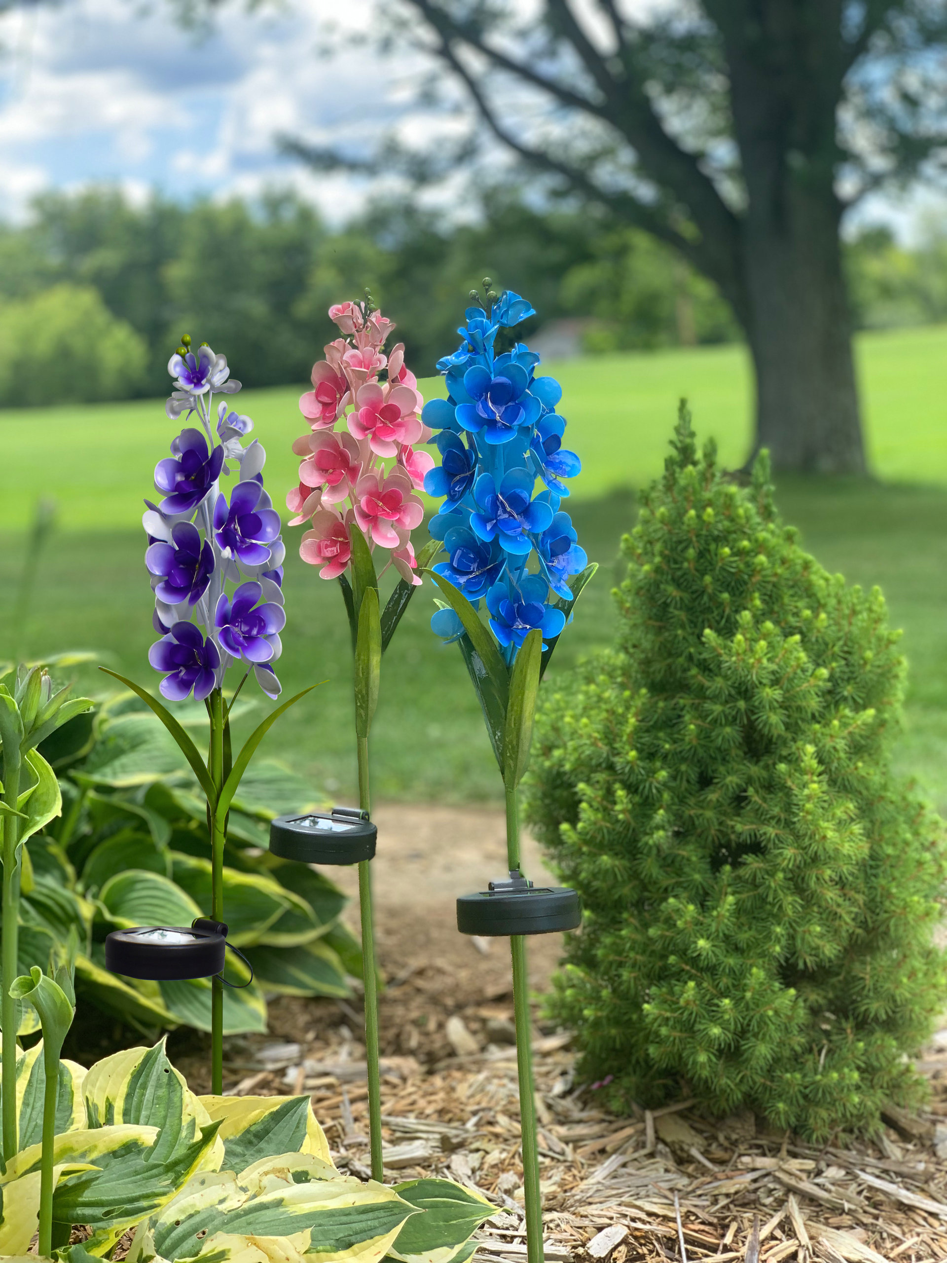 Stake Solar Gladiolus Flower Purple - Contemporary - Garden Statues And ...