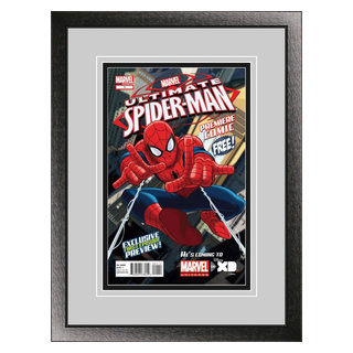Single Comic Book Frame with Classic Moulding - Traditional - Picture ...