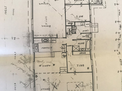 design lay out ideas for renovation | Houzz AU