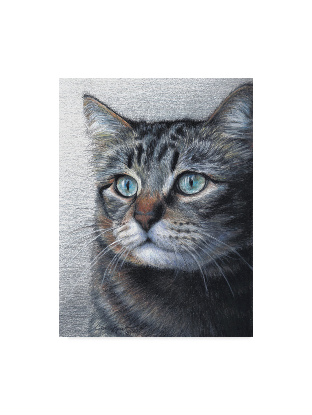 Carla Kurt 'Cat Portrait' Canvas Art, 24"x32" - Contemporary - Prints ...