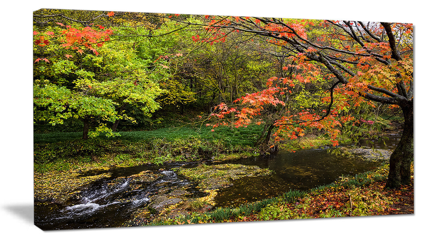 Fall Trees in Bright Colors, Landscape Canvas Art Print, 40x20 - Rustic ...