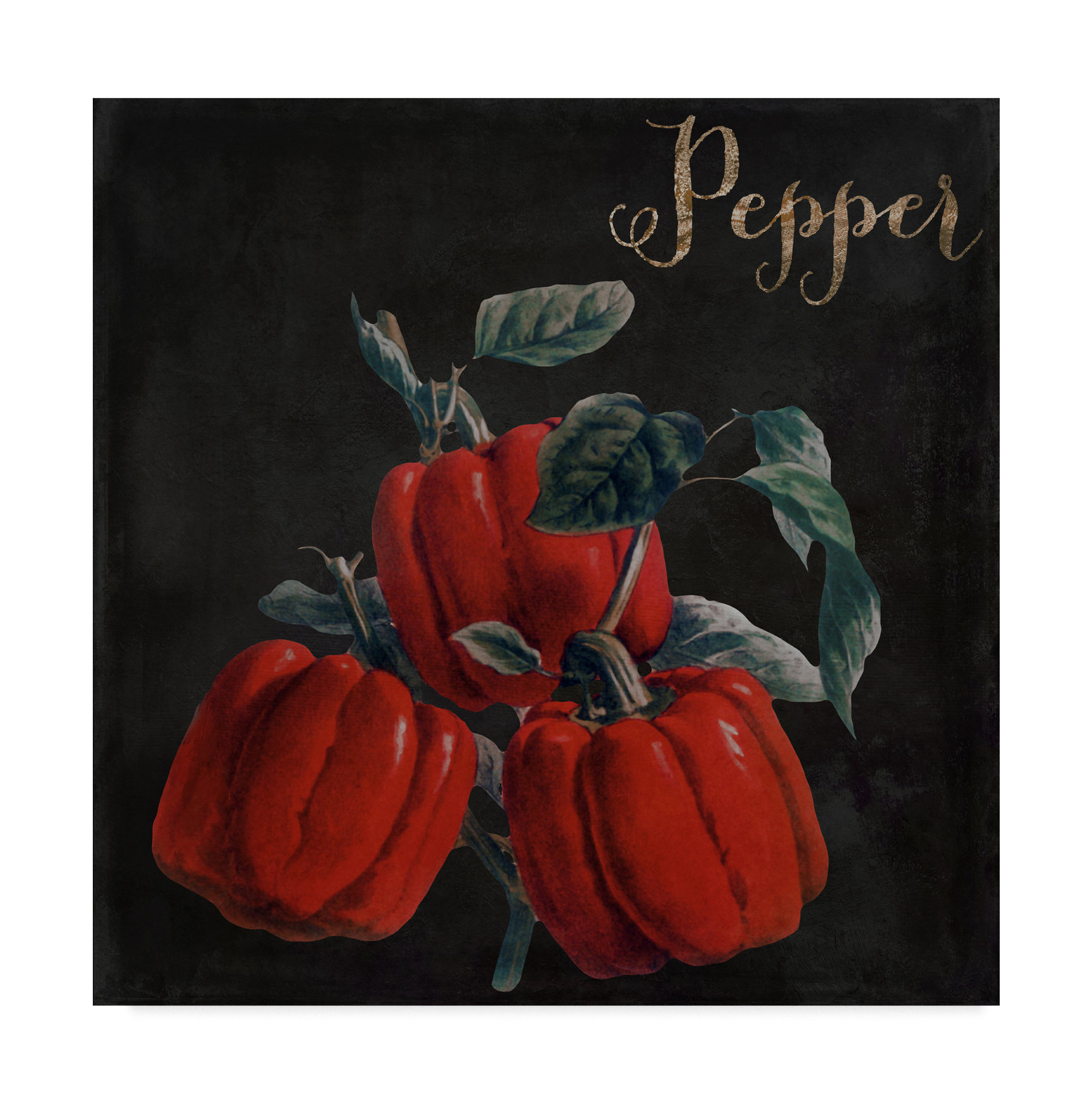 "Medley Pepper" by Color Bakery, Canvas Art, 18"x18" - Farmhouse ...