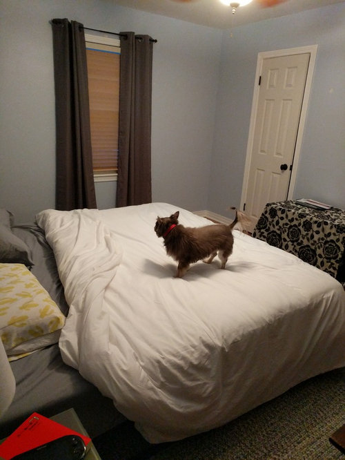 Awkward Sad Bedroom HELP